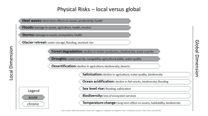 Physical Risks – How the climate affects P&L and balance sheets