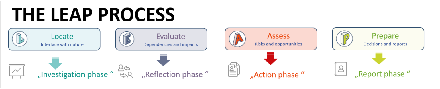 Biodiversity and Ecosystems in the Credit Process of Banks