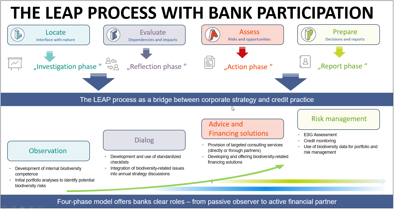 Biodiversity and Ecosystems in the Credit Process of Banks